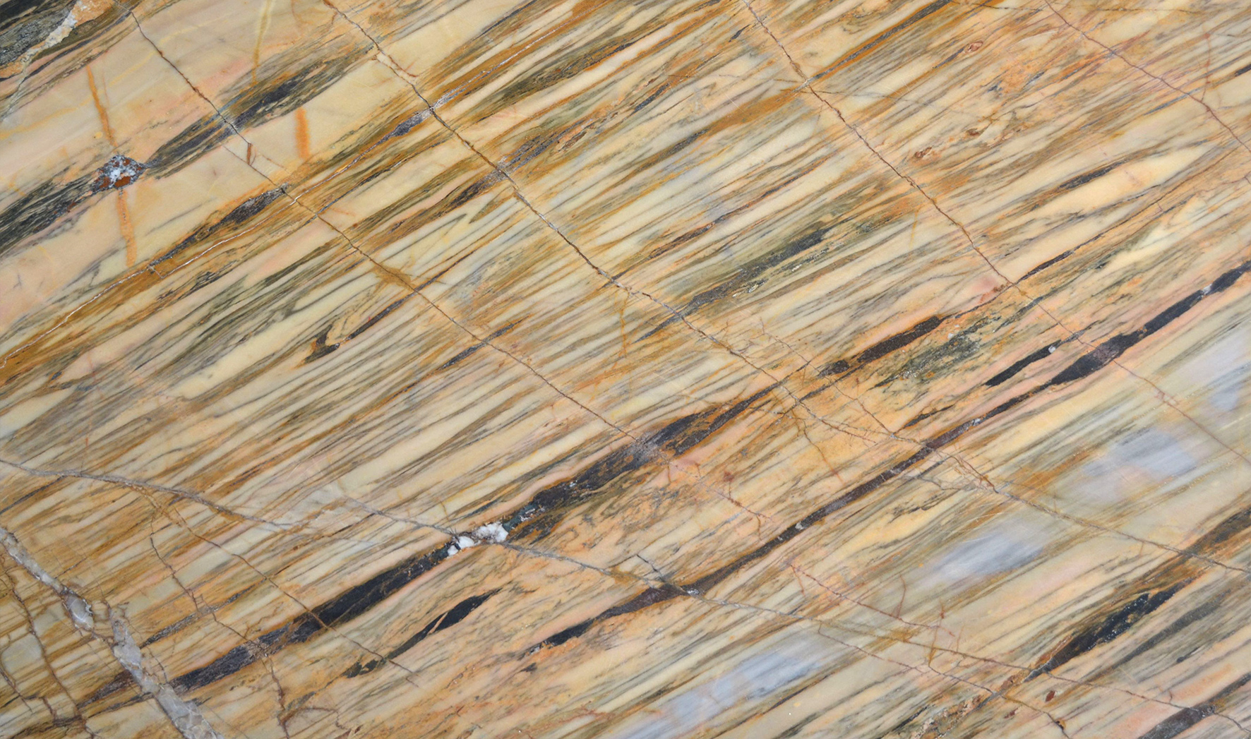 Crocodile | ES Marble